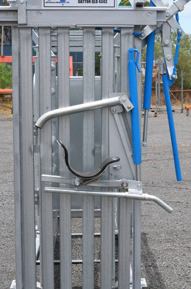 Cattle Headlocks & Headbails - RPM Livestock Equipment