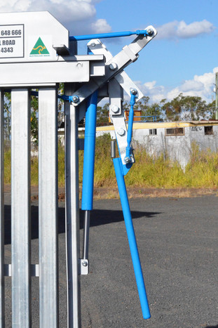 Cattle Headlocks & Headbails - RPM Livestock Equipment