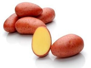 SEED | Variedades de batata semente