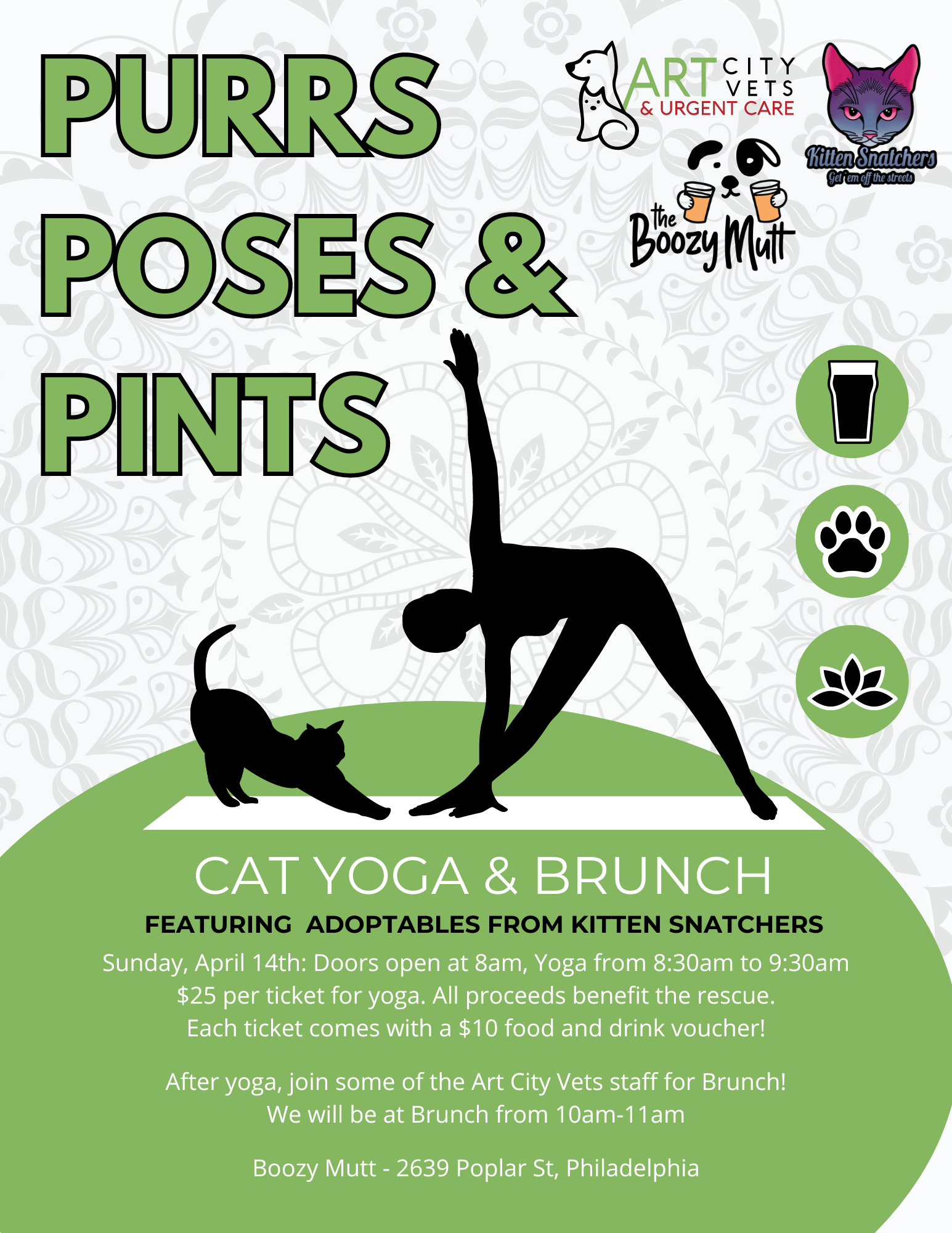 Purrs, Poses & Pints! Cat Yoga & Brunch | Art City Vets