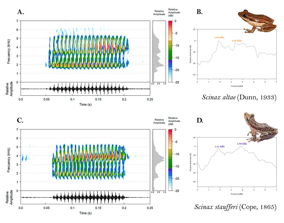 Post | Herpinghttps://static.wixstatic.com/media/ea5bc6 ...