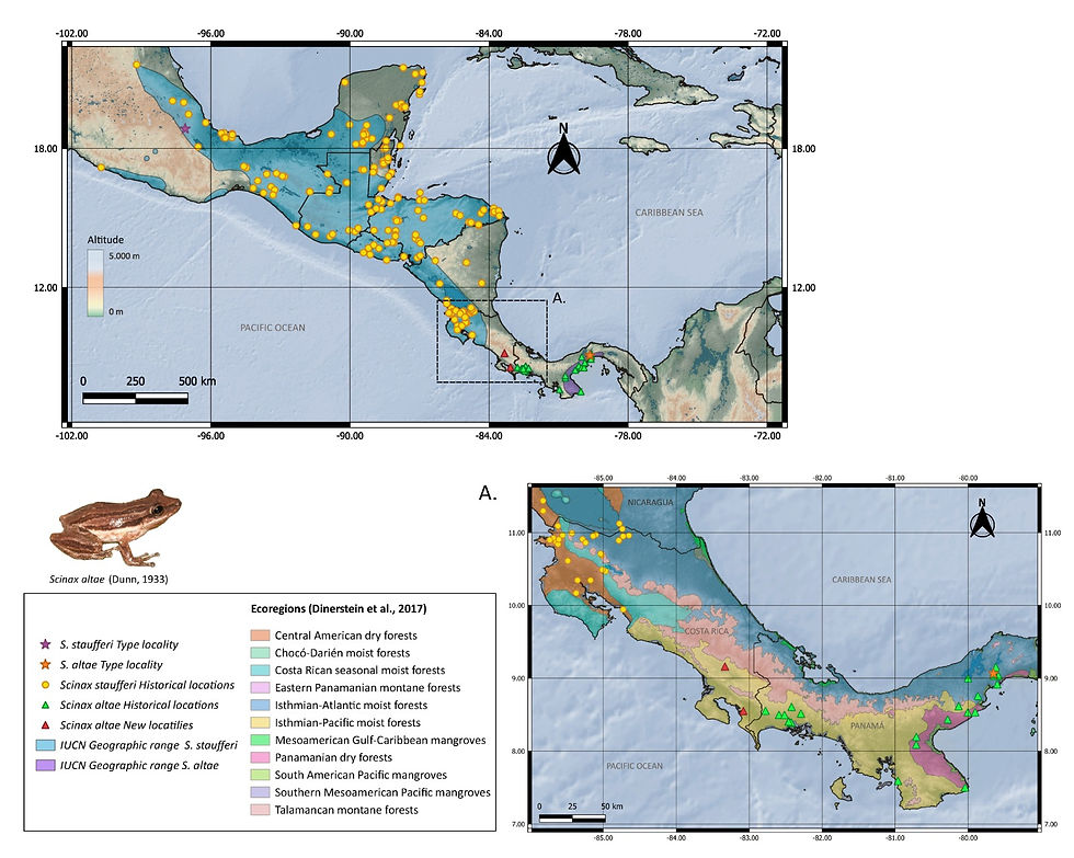 Se reporta una nueva rana para Costa Rica.