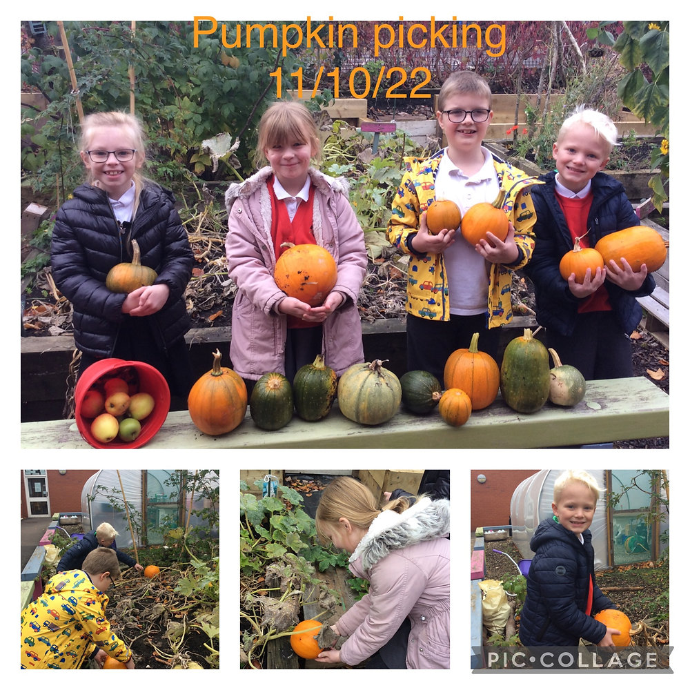 Pumpkin time