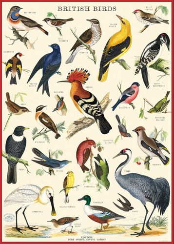 פוסטר: British Birds | YARA