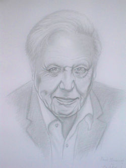 Portraits | David Putland Artist