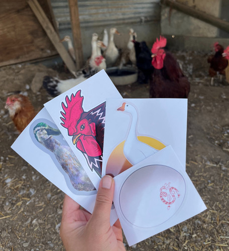 Poultry Pack | Summerisle