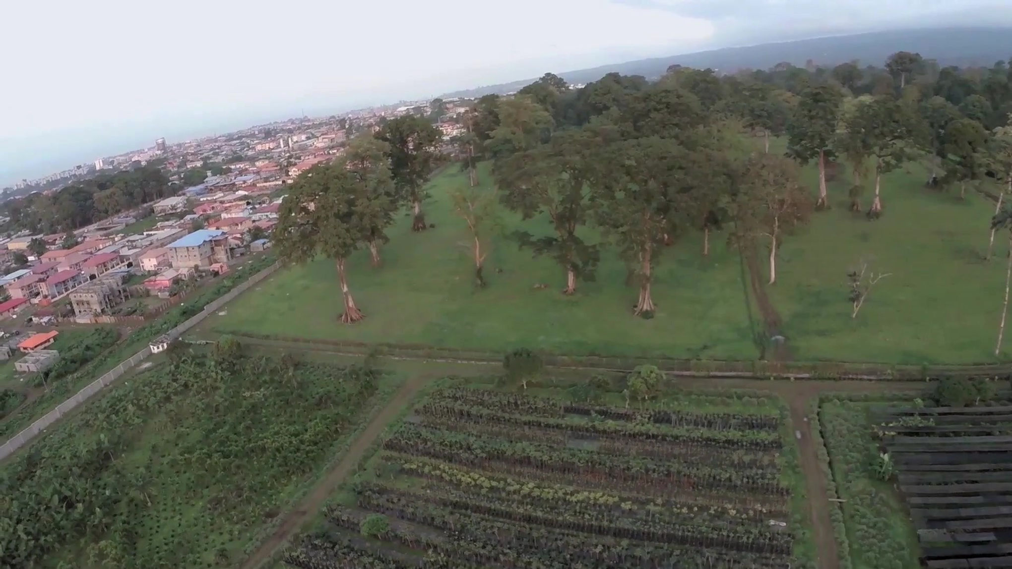 FINCA SAMPAKA | camasa