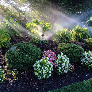 Home | Phuket Irrigation Systems