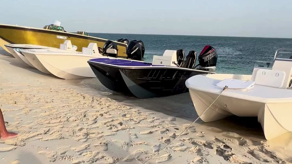 ABOUT | Blue Cat Australia