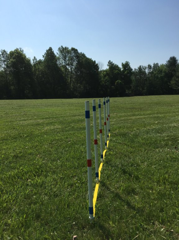 Weave Poles set of six | TheDogAgilityShop