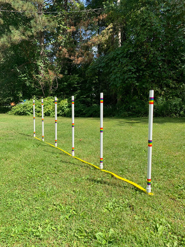 Limited Edition Pride Rainbow Weave Poles | TheDogAgilityShop