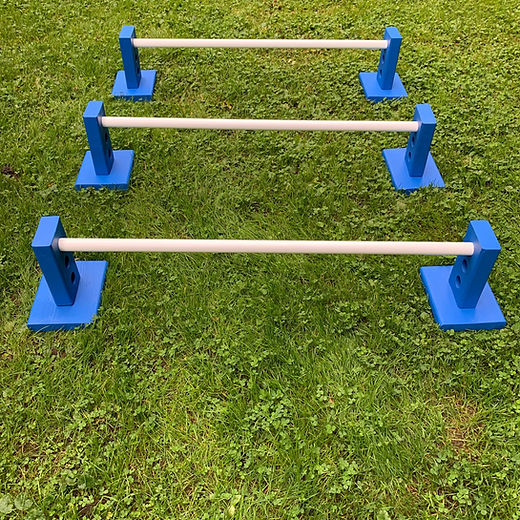 Dog Agility Equipment