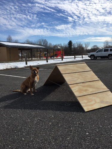 Dog Agility mini A Frame | Bare Wood Version | TheDogAgilityShop