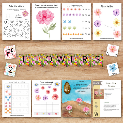 F is for Flower Early Learning Pack | FTL of Homeschooling