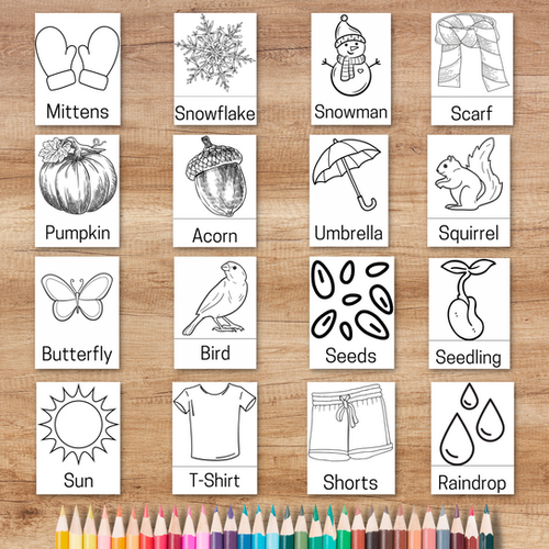 Make Your Own Four Seasons Flashcards and 3 Part Cards | FTL of ...