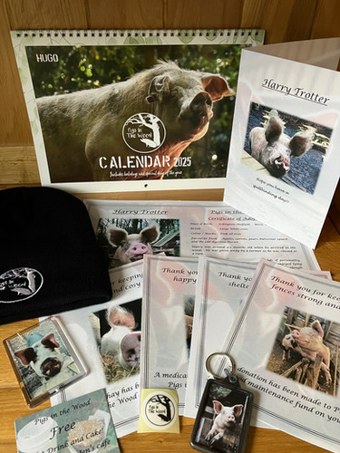 "The Ultimate" Adoption Pack | pigs-in-the-wood-new