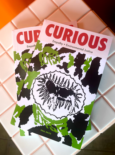 CURIOUS Magazine | Empathy + Environmental Justice | DFSC