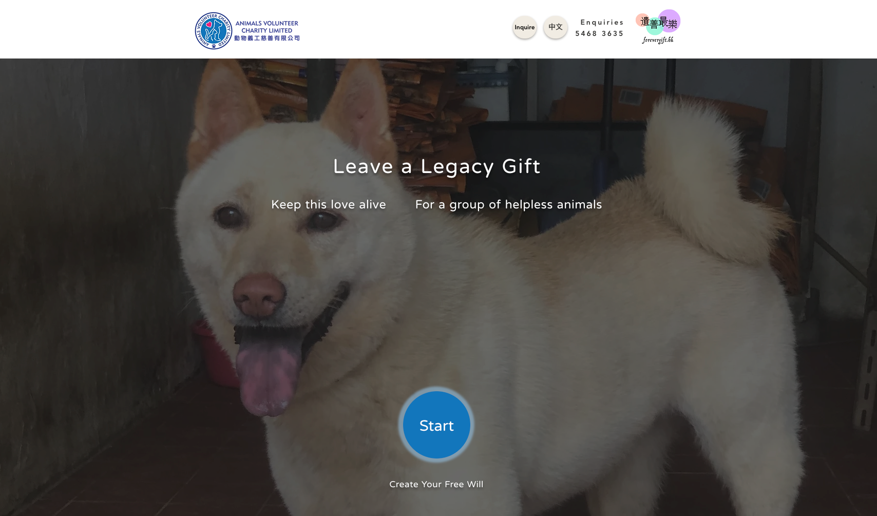 Leave a Legacy ‧ Make an Impact ‧ Donate a Gift in Your Will Today