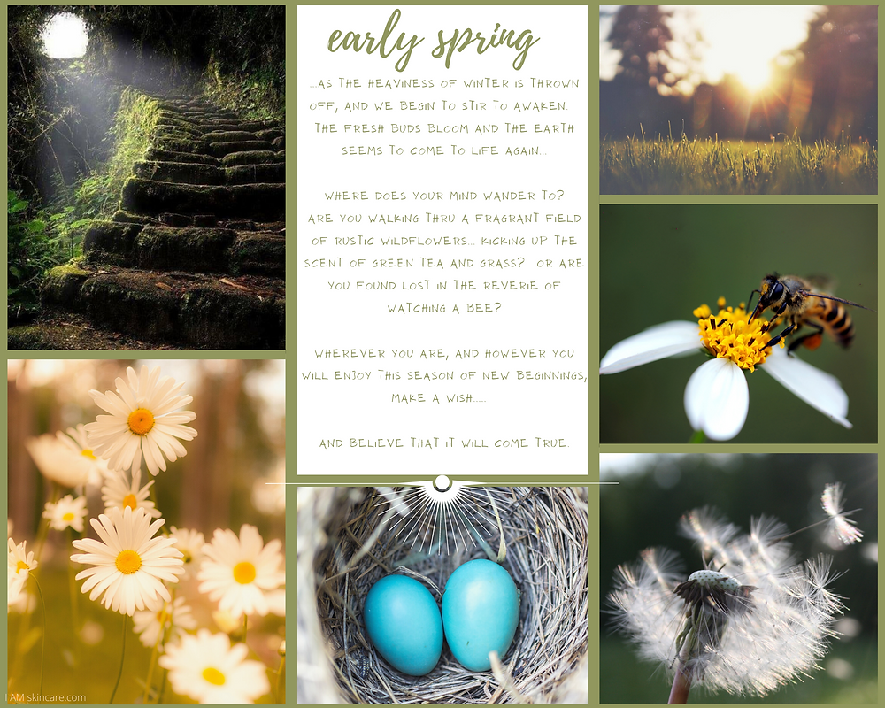 Transition time... when everything still seems a little hazy, as we ...