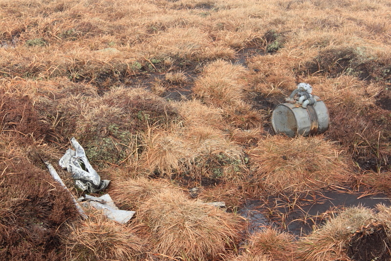 Cheviot airplane crash sites