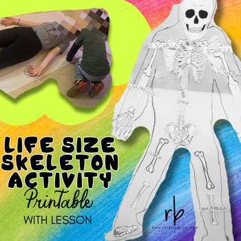 Anatomy - Life Size Skeleton Group Activity - Printables and Lesson ...