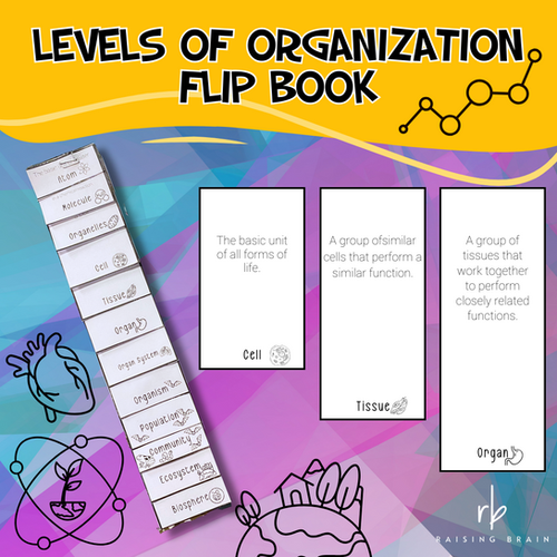 Levels of Organization Flip Books (with and without definitions ...