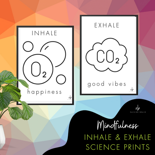 Mindfulness Inhale and Exhale Breathing/Science Wall Art | Raising Brain