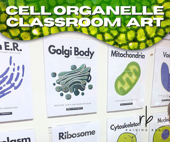 Cell Organelles Wall Art | Raising Brain
