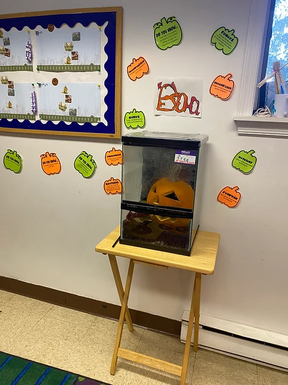 Pumpkin Jack Vocabulary &amp; Facts Wall Art for Classroom Decor | Raising ...