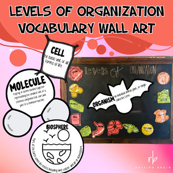 Levels of Organization Vocabulary Wall Art for Classroom - Ecology Unit ...