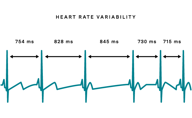 A Simple Introduction To Heart Rate Variability