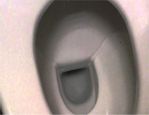 Siphonic & Washdown: Get to know these flushing systems!