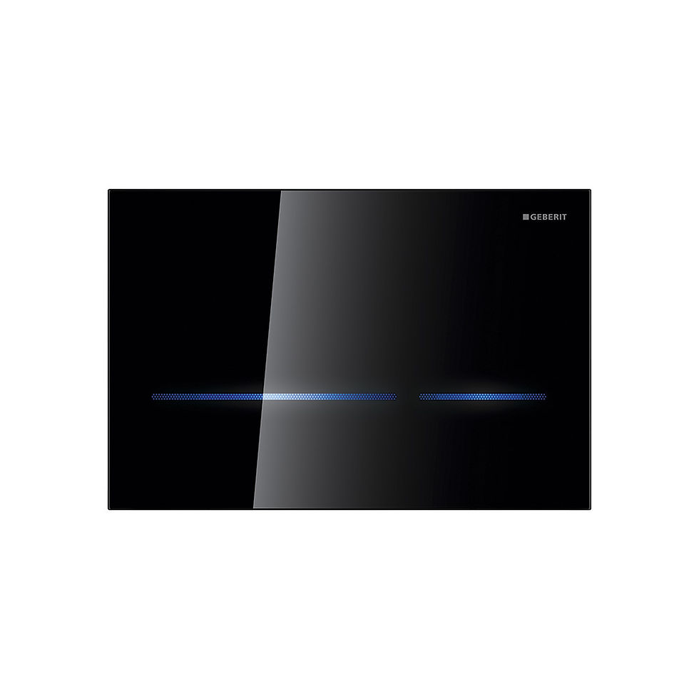Geberit flush plate Sigma80 | Bina Warehouse