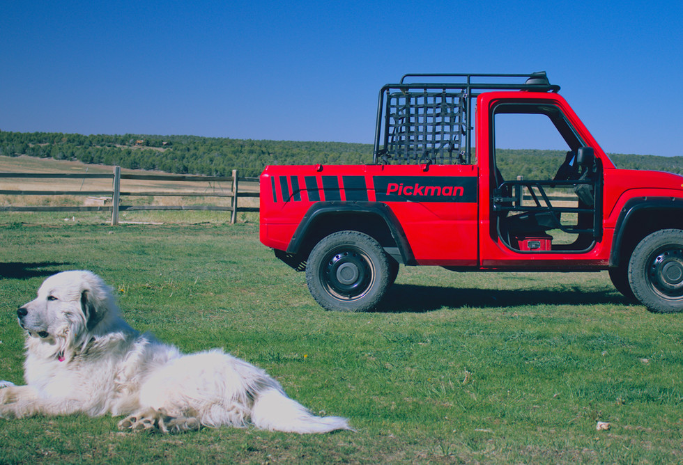 Shop Pickman Inventory