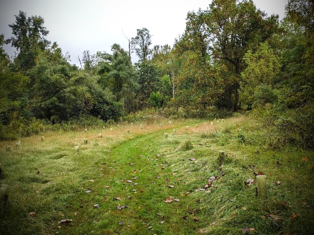 Wizard Ranch Nature Preserve