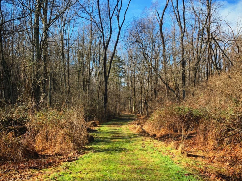 Lancaster County Day Hikes | Speedwell Forge County Park