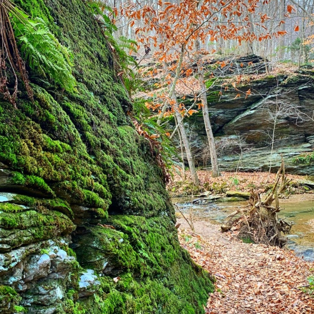 Lancaster County Day Hikes | Moderate Hiking Trails