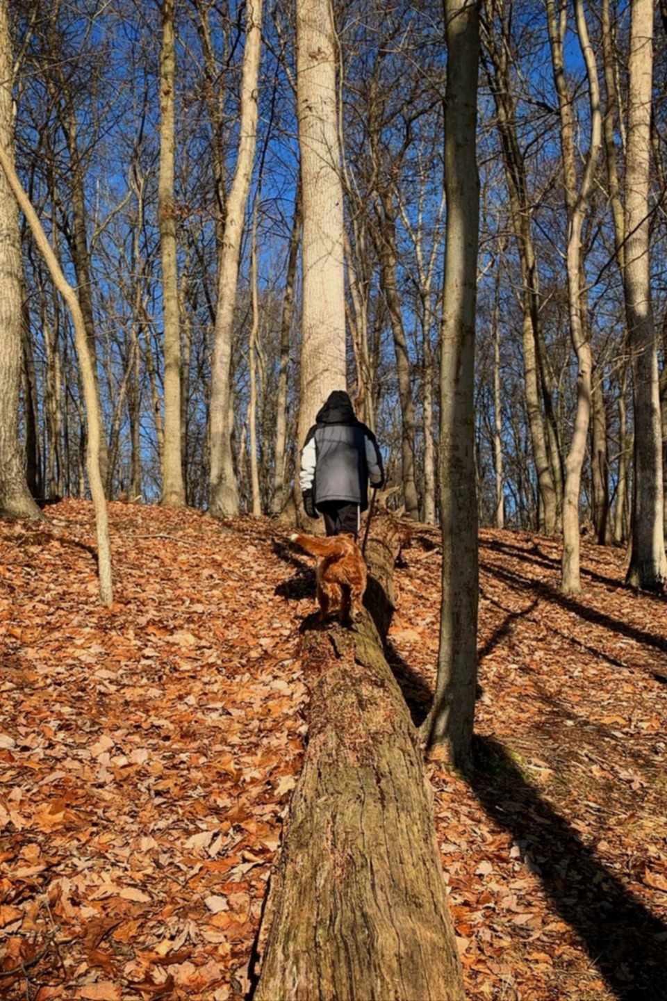 Lancaster County Day Hikes | Lakeshore Trail at Muddy Run Park