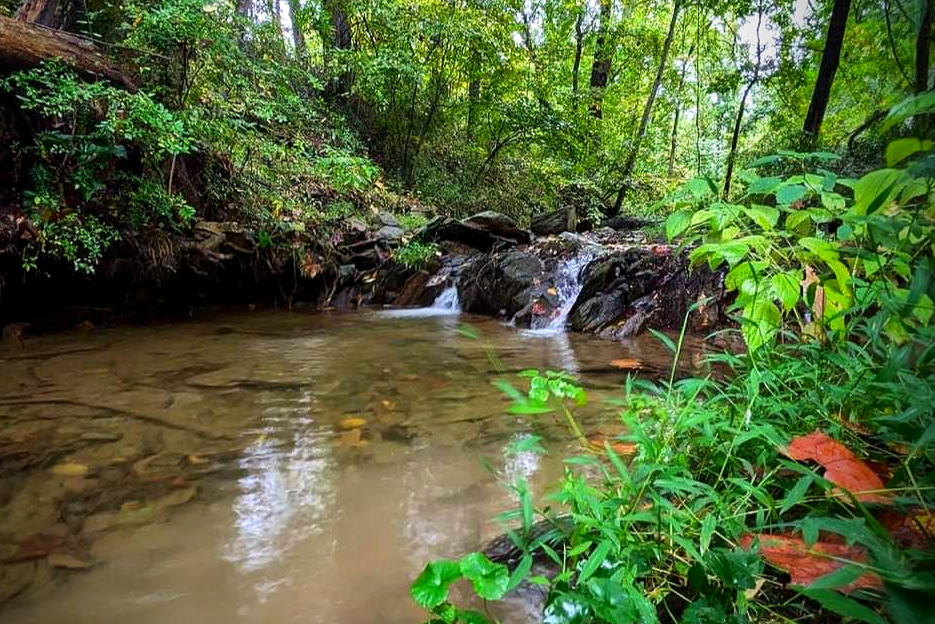 Wizard Ranch Nature Preserve