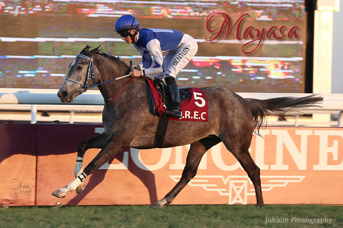 MAYASA is Arqana sale topper in France and wins the Purebred Fillies ...