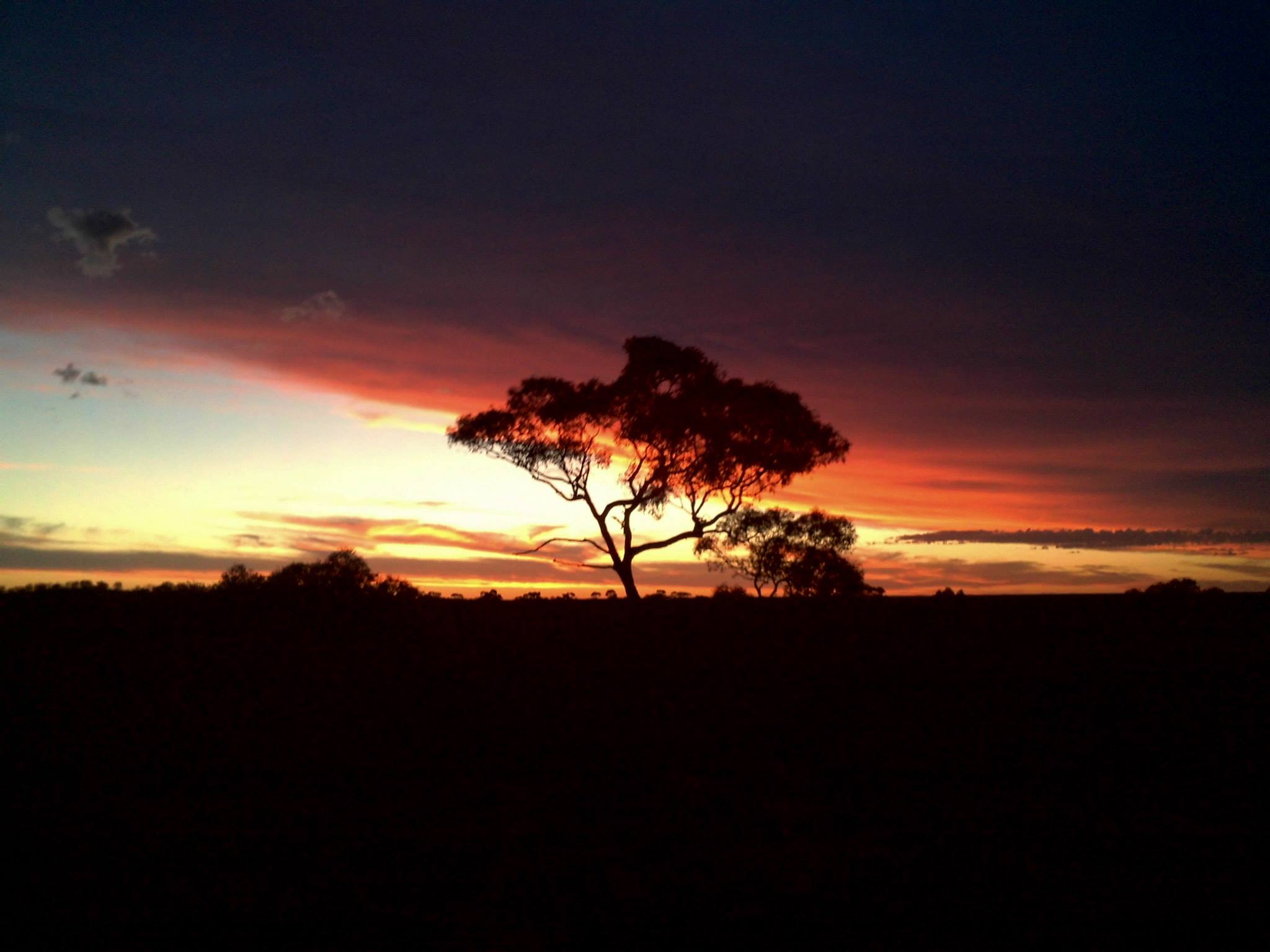 Landscape photo gallery | ilkurlka
