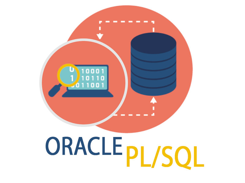 Mastering PL/SQL | LearnComputerScience