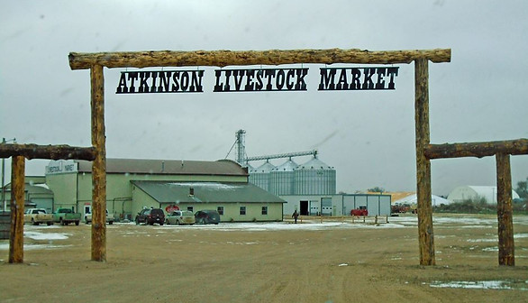 About Us | atkinsonlivestock