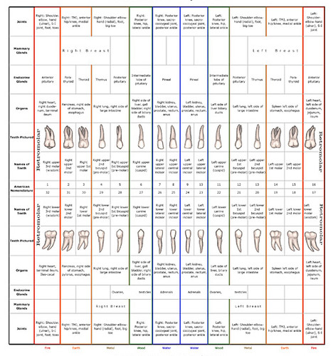 Dental Chart Package | Louisa Williams, ND
