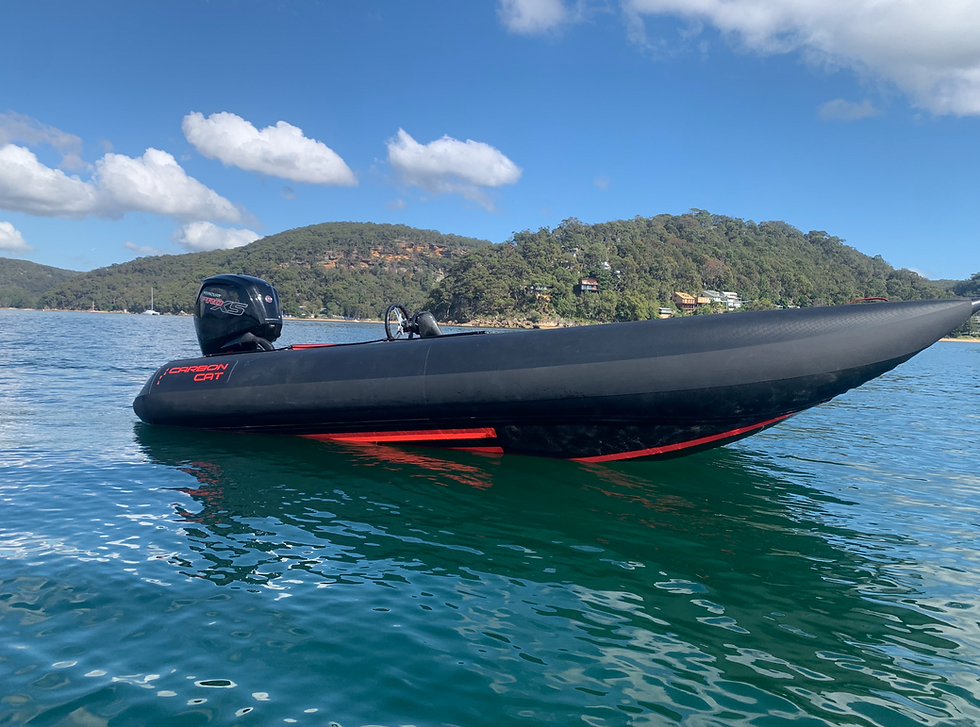 Carbon Cat - New Carbon Fiber 5.3M F1 RIB