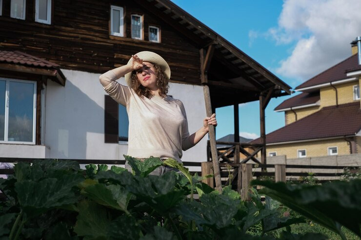 How to Optimize the Temperature in Your Home This Summer?