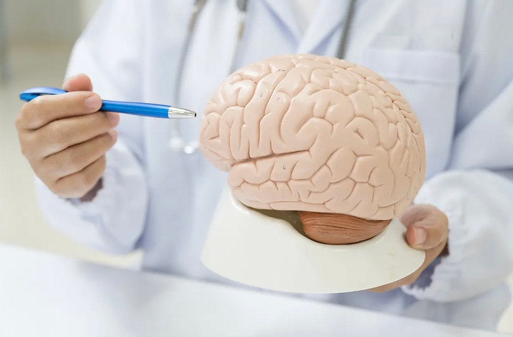 Good vs Bad Habits - How They Impact Your Brain Health