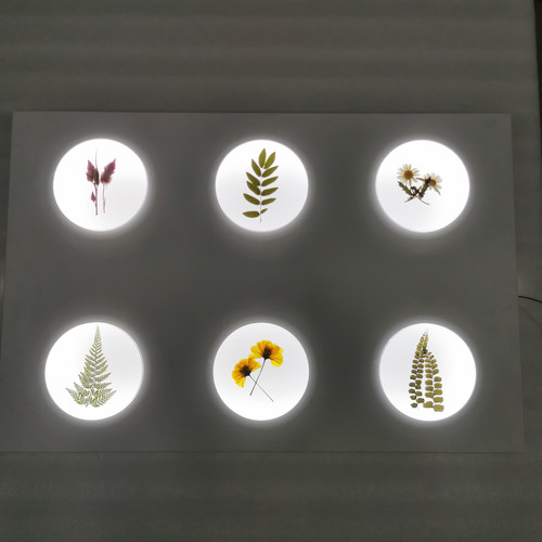 LED Acrylic Display Light Box Decorative Light Box for Interior ...