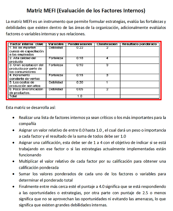 MATRIZ MEFI | misitio