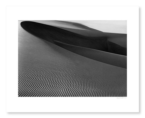 Dune Abstract | Riddell Fine Arts